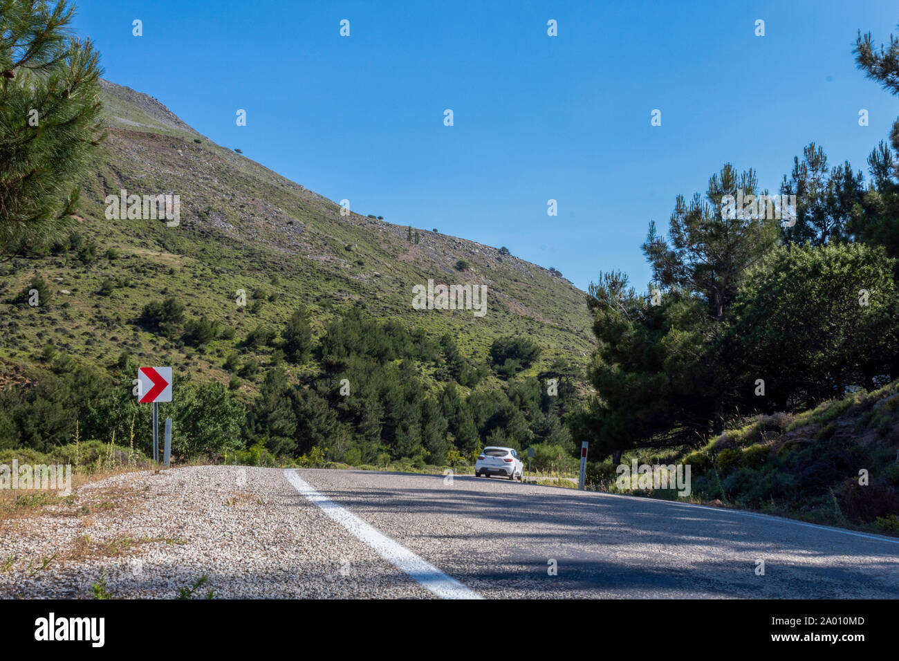 Car on asphalt island road, about to cornering. Road lined with trees ...