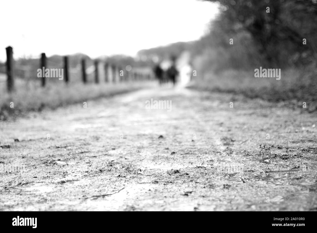 Background: Melancholy Dirt Road/Path in rainy Winter Weather with very ...