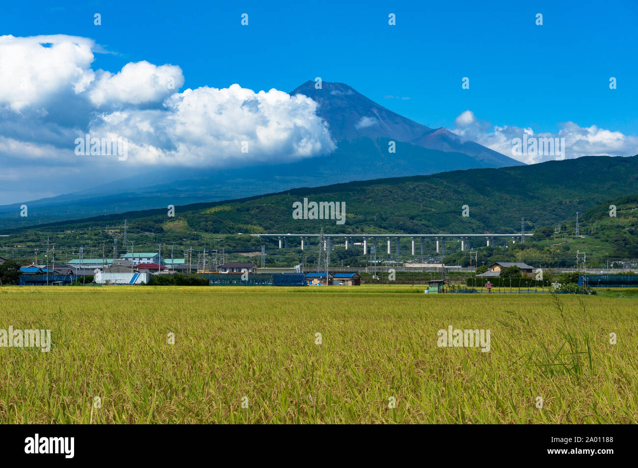 Japanese countryside landscape of rice paddy with Mt Fuji volcano on ...