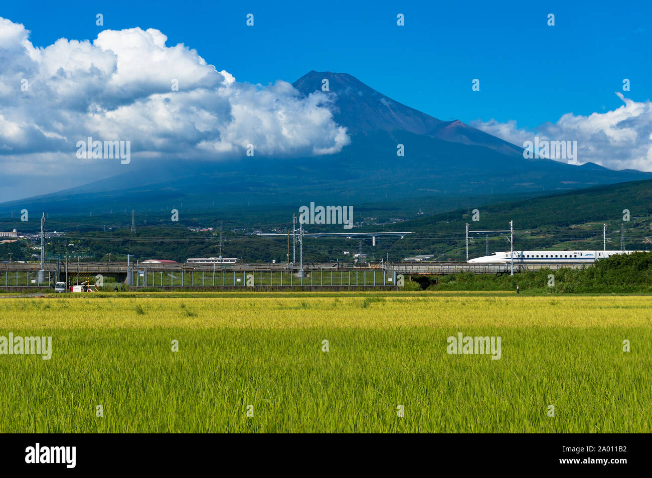 Bullet train japan fuji field hi-res stock photography and images - Alamy