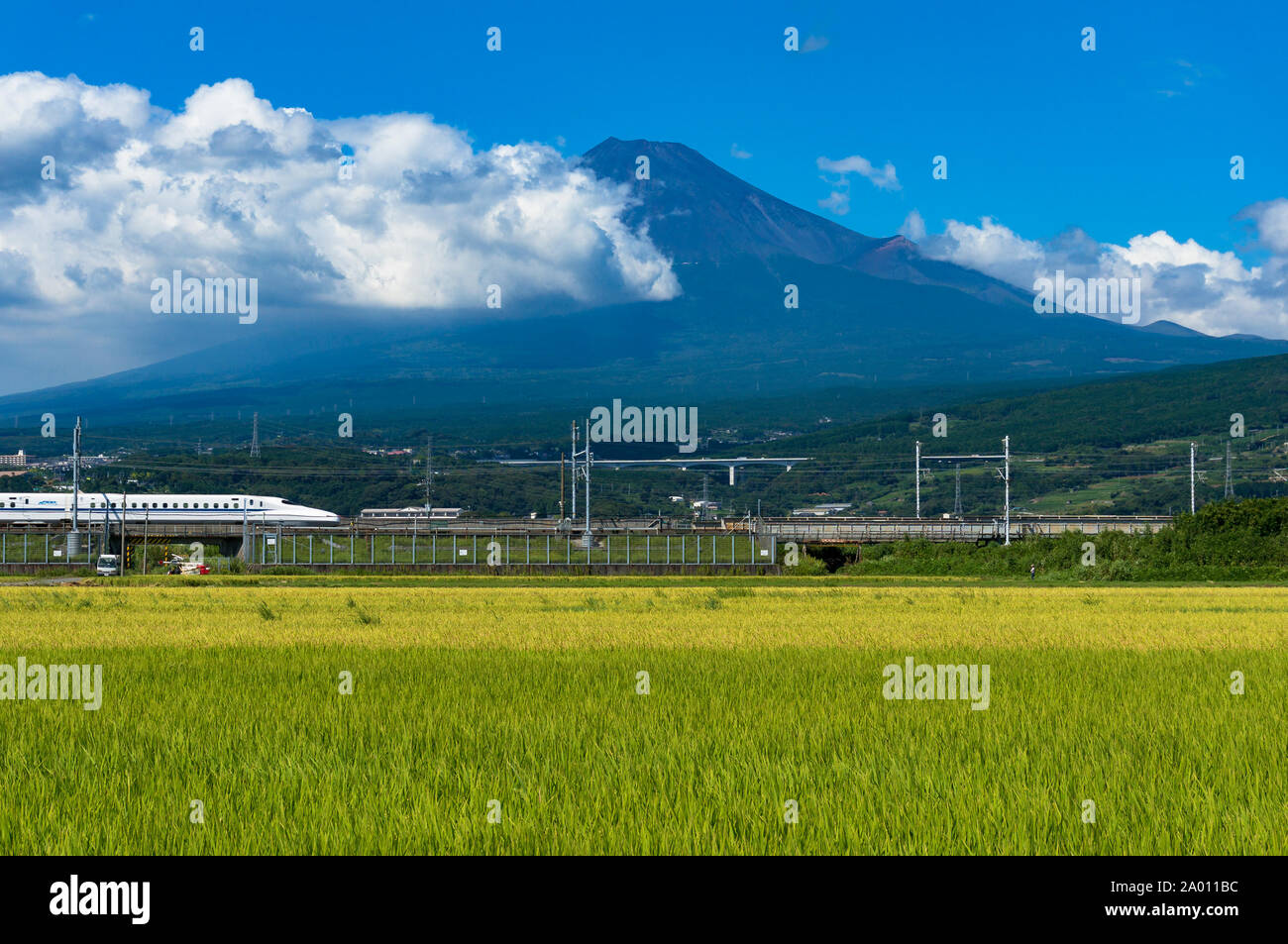 Shizuoka fuji shinkansen hi-res stock photography and images - Alamy