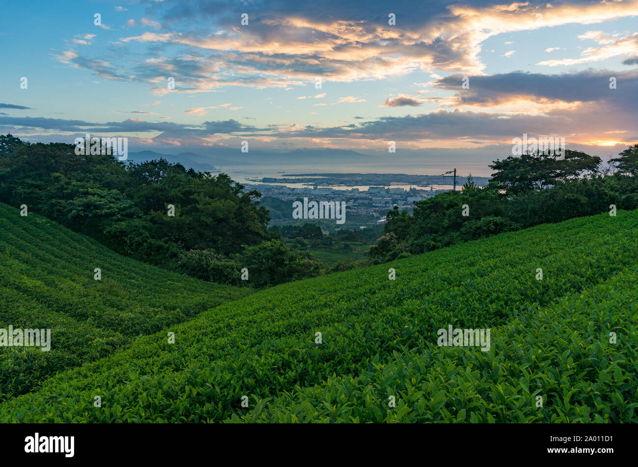 Shizuoka city hi-res stock photography and images - Alamy