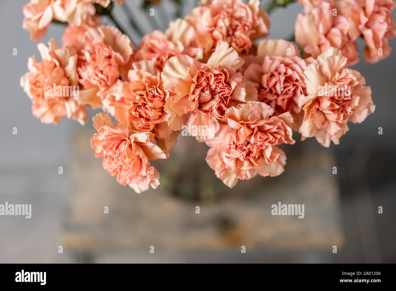 Peach Colored Flowers