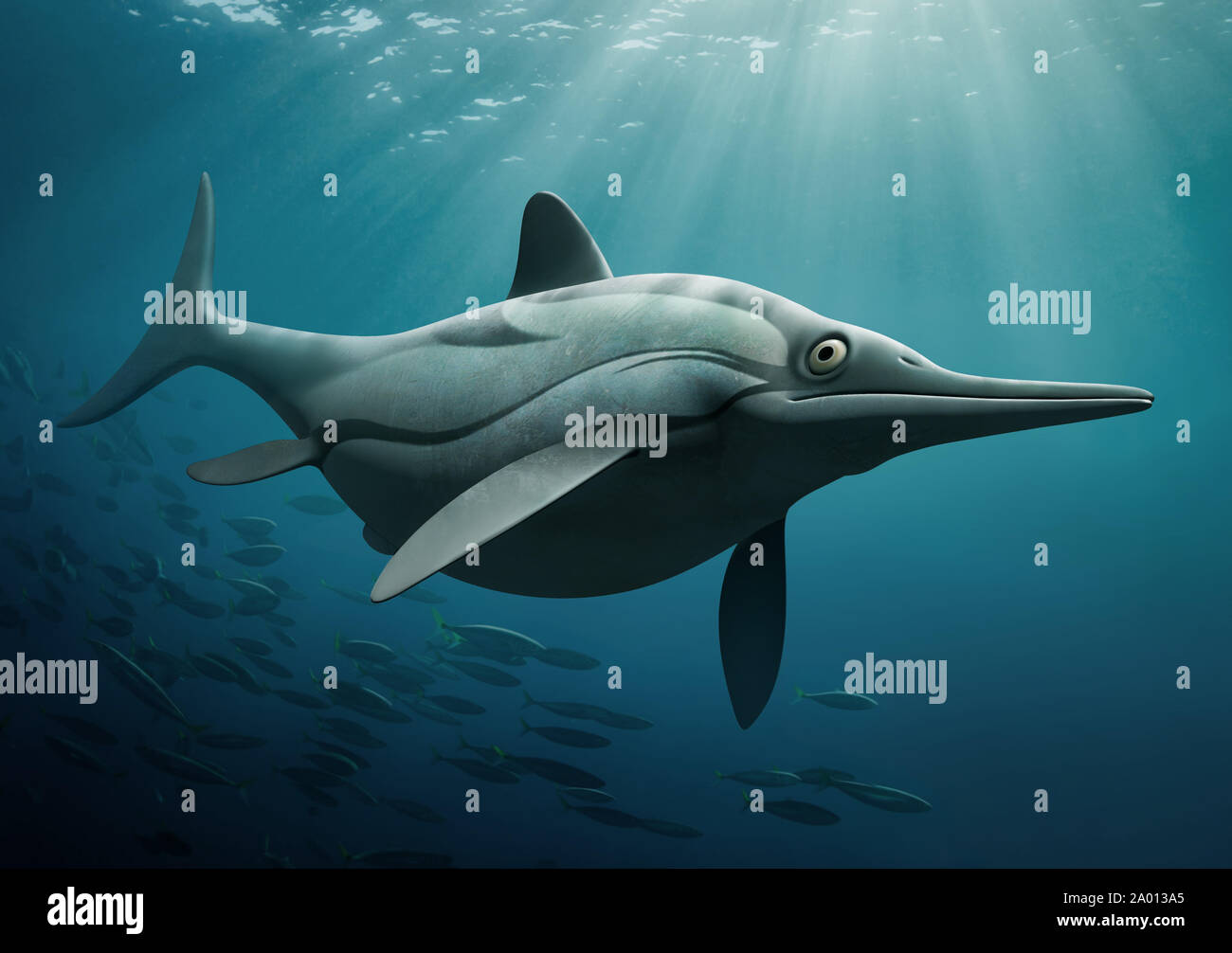 Palaeobiology High Resolution Stock Photography and Images - Alamy