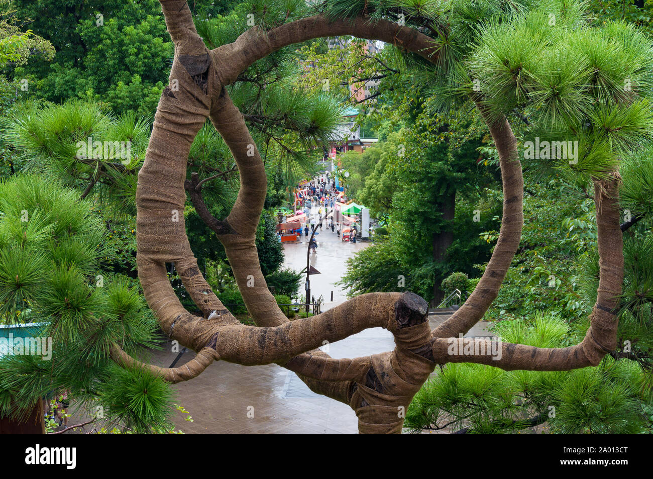 Kiyomizu kannon do temple hi-res stock photography and images - Alamy