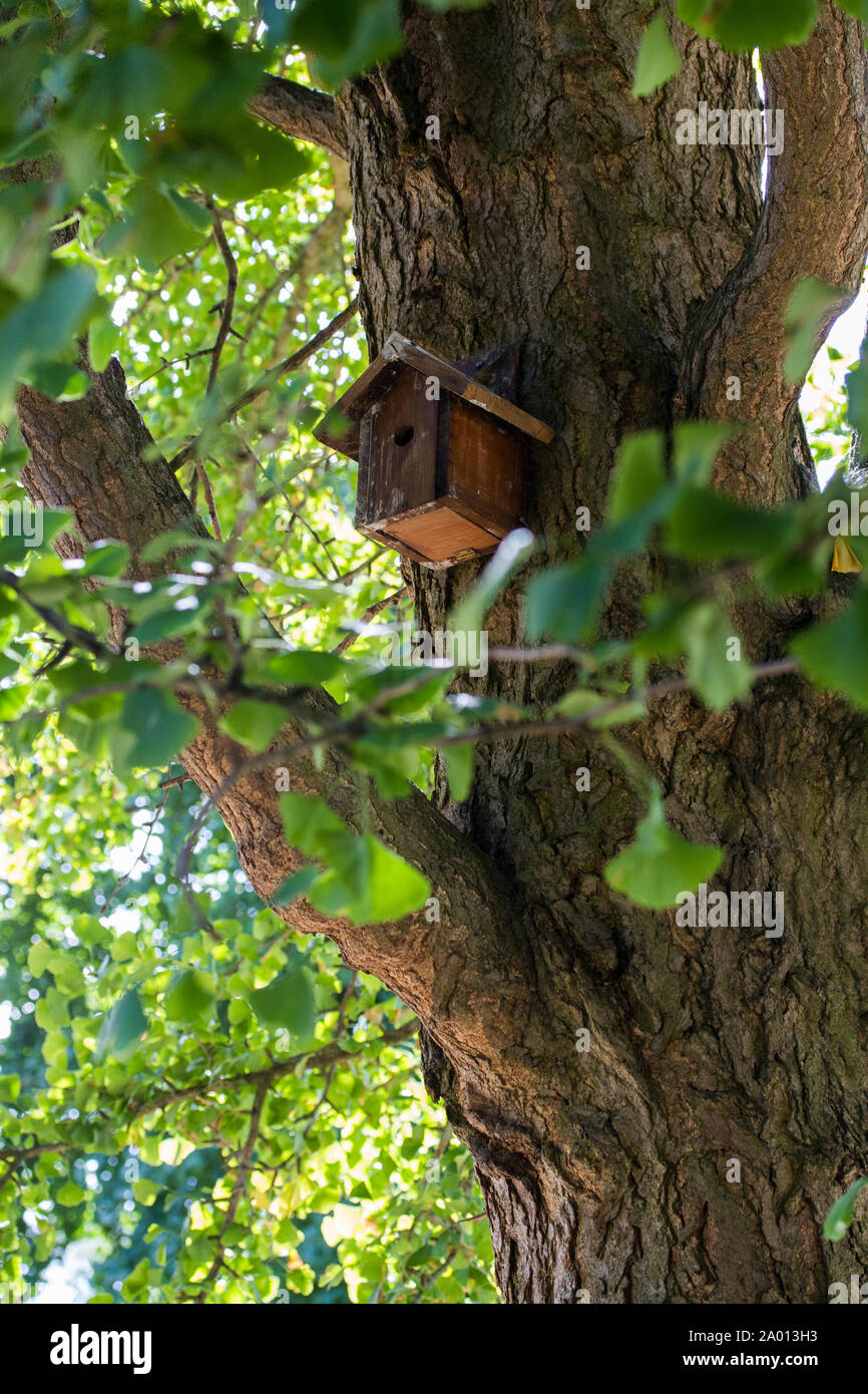Birdbox in a tree hi-res stock photography and images - Alamy