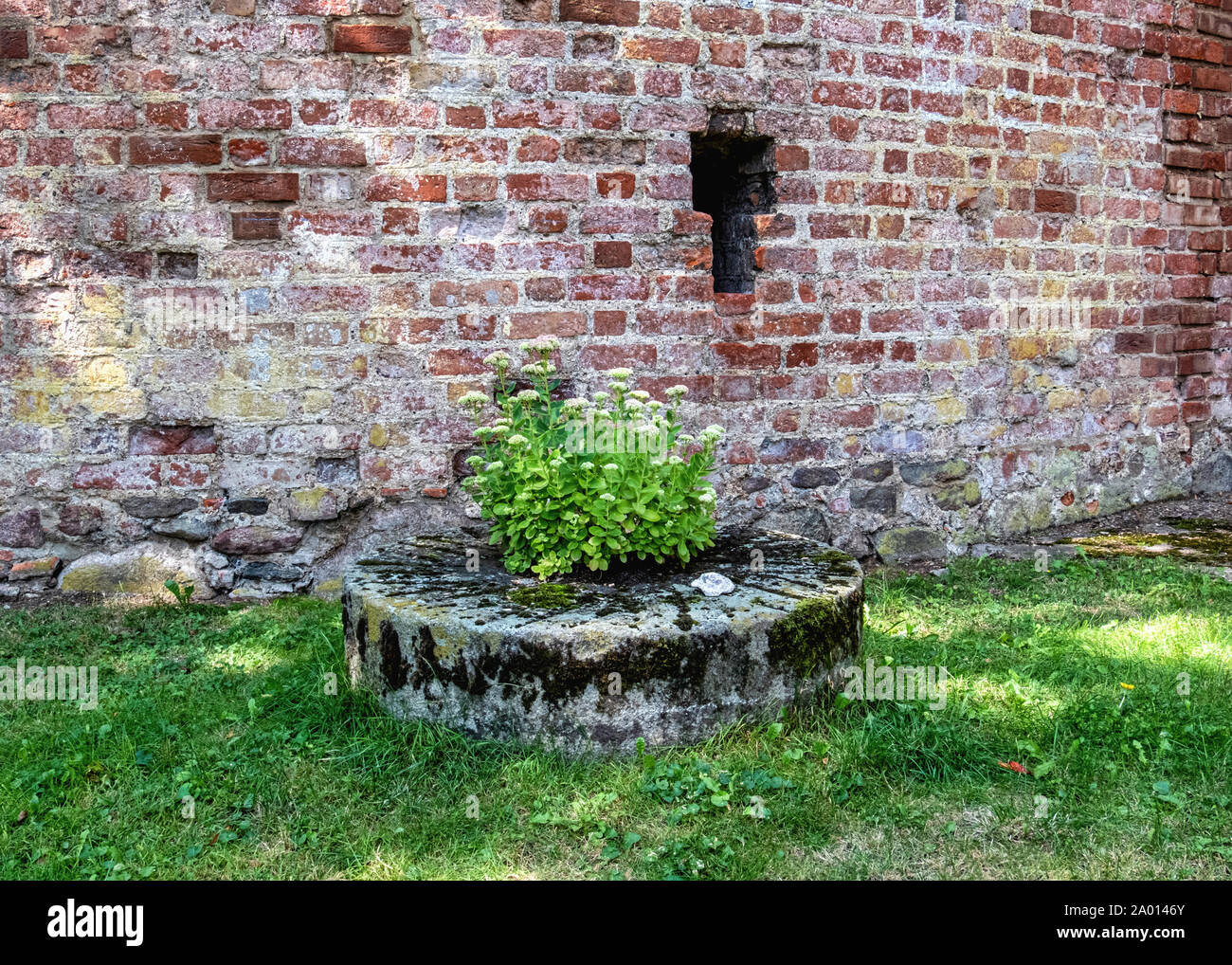 Gerswalde uckermark hi-res stock photography and images - Alamy