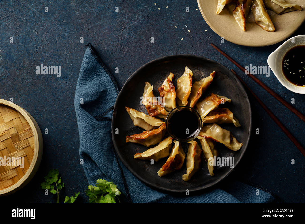 Fried gyoza dumplings with duck served with soy sauce ans sesame seeds ...