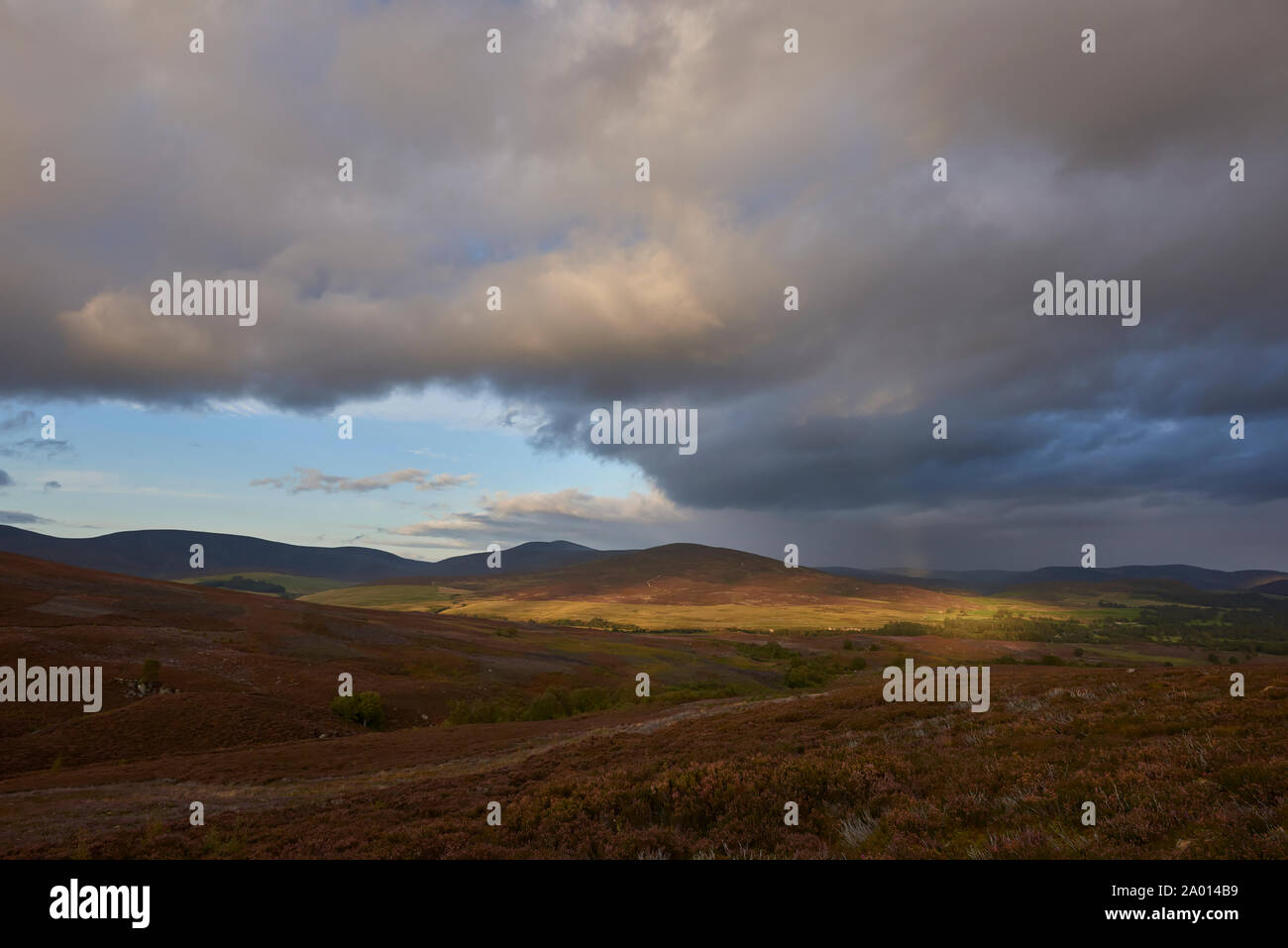Angus trails hi-res stock photography and images - Alamy