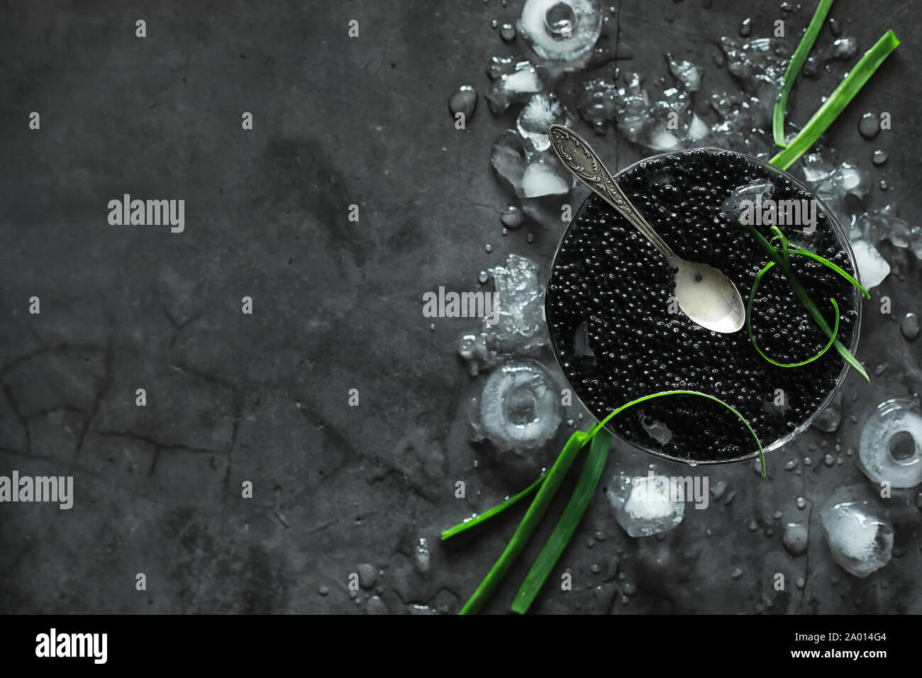 Beluga Sturgeon Stock Photos & Beluga Sturgeon Stock Images - Alamy