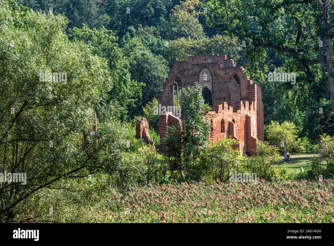 Monastery ruins Boitzenburg. Ruin of Cistercian monastery destroyed in ...