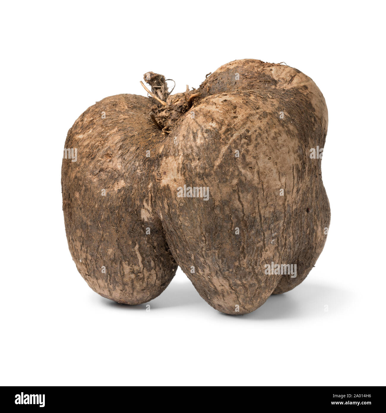 Single fresh raw brown organic yam isolated on white background Stock ...