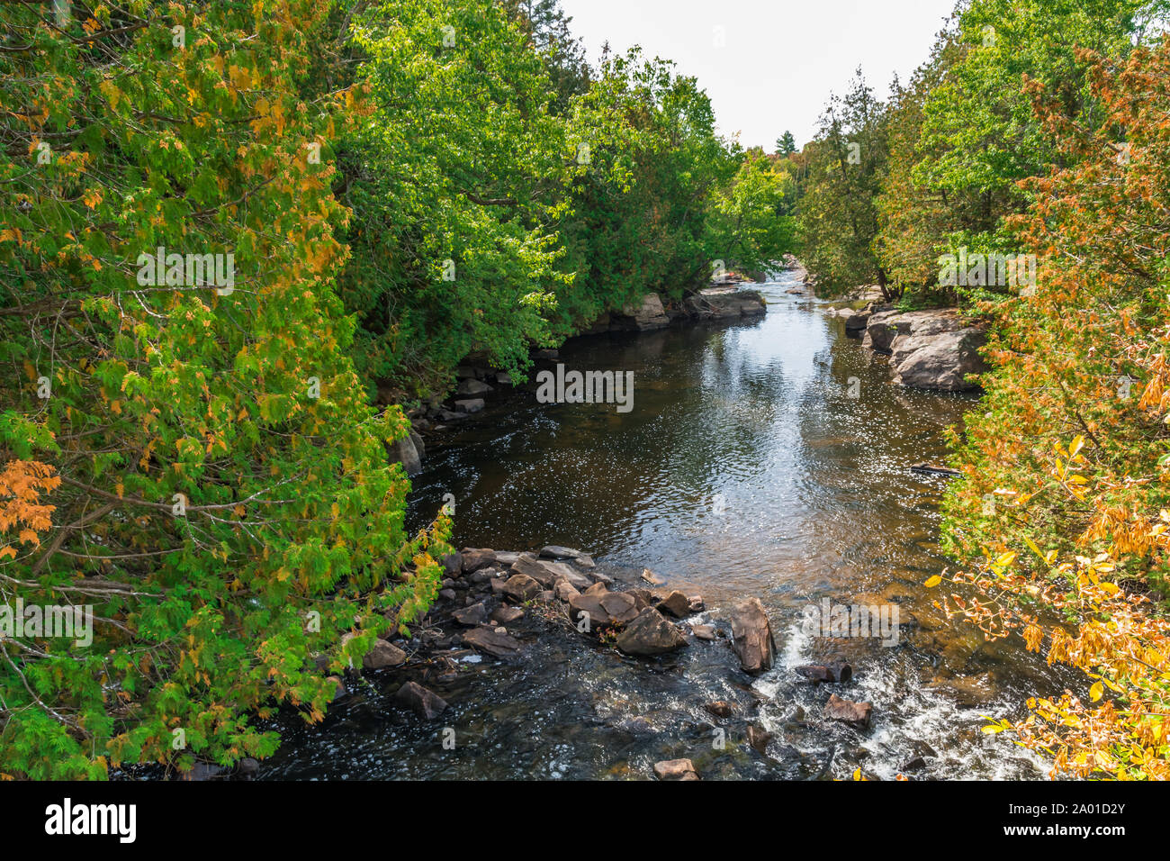 Ontario insects hi-res stock photography and images - Alamy