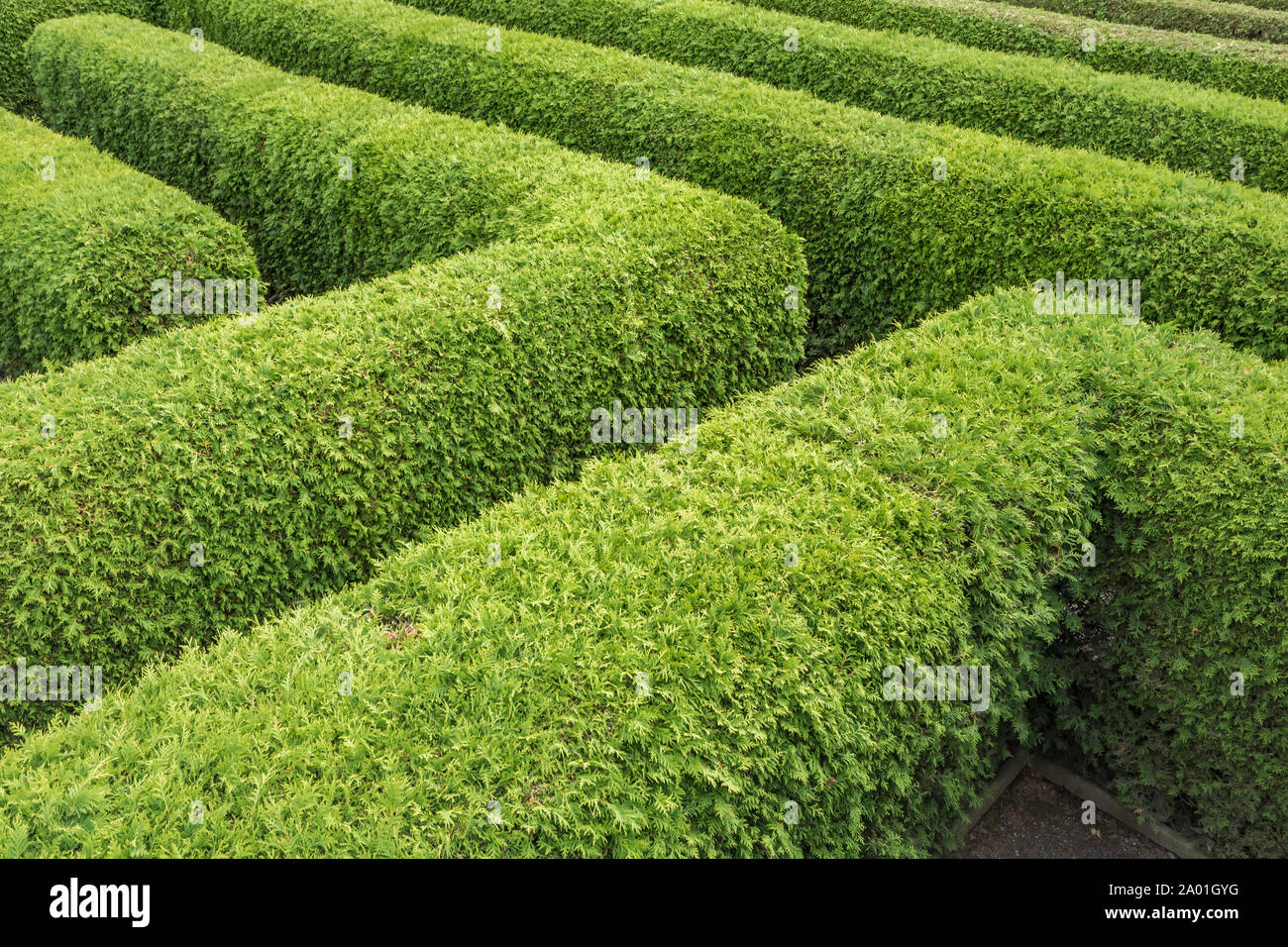 Hedge maze above hi-res stock photography and images - Alamy