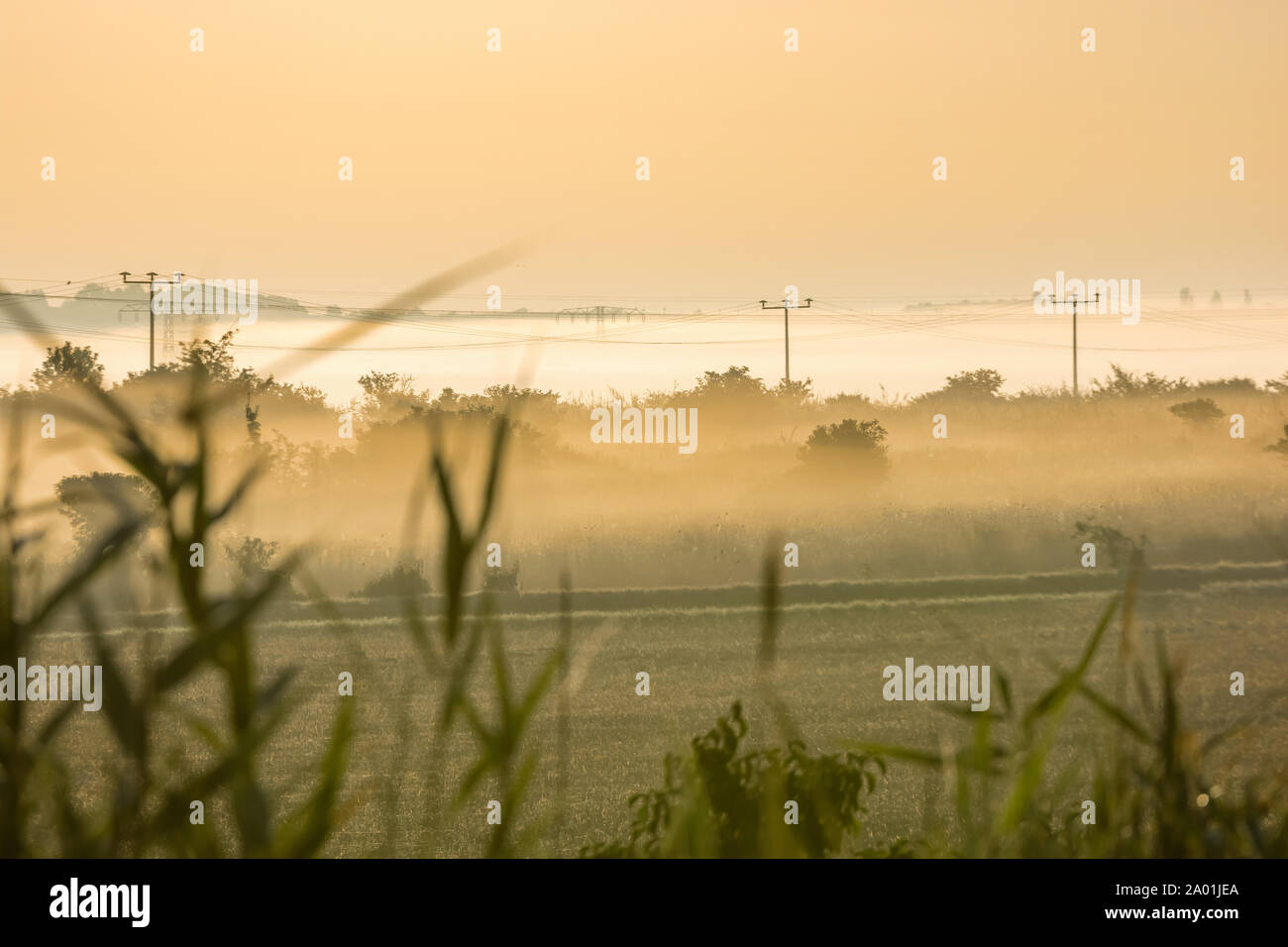 Mist fields at dawn Stock Photo - Alamy