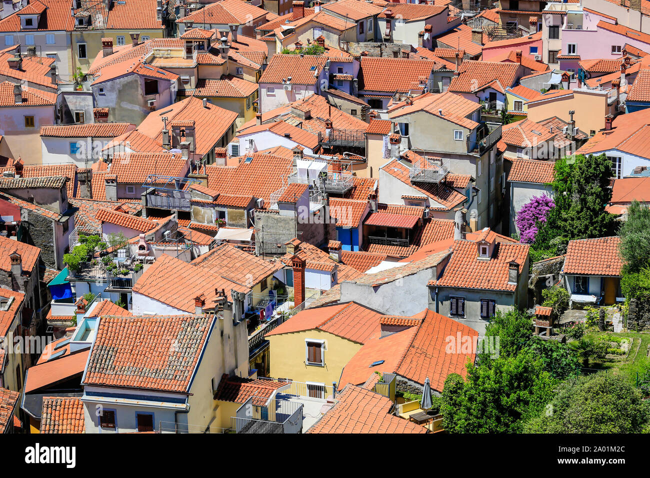 Piran, Istria, Slovenia - city view, view over the roofs of the port ...