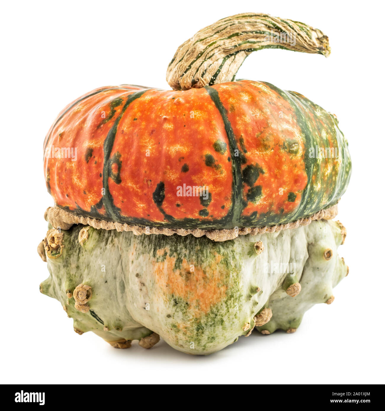 Scary looking pumpkin isolated on white background Stock Photo - Alamy