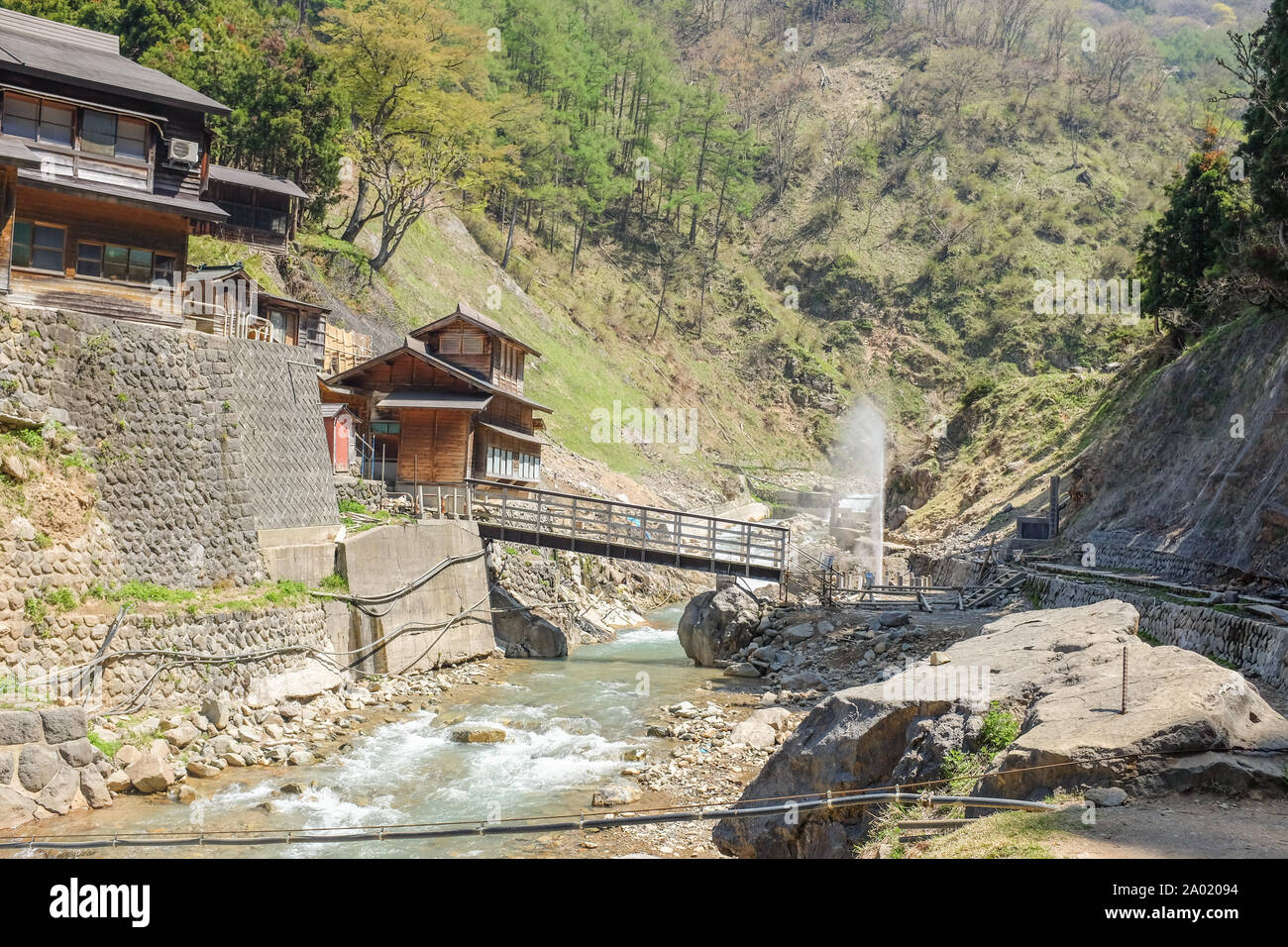 Jigokudani Monkey park, Yamanouchi, Yudanaka, Shibu Onsen, Nagano Stock ...
