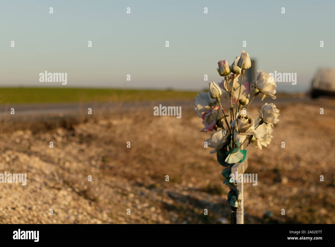 Memorial to the dead of a car crash Stock Photo - Alamy