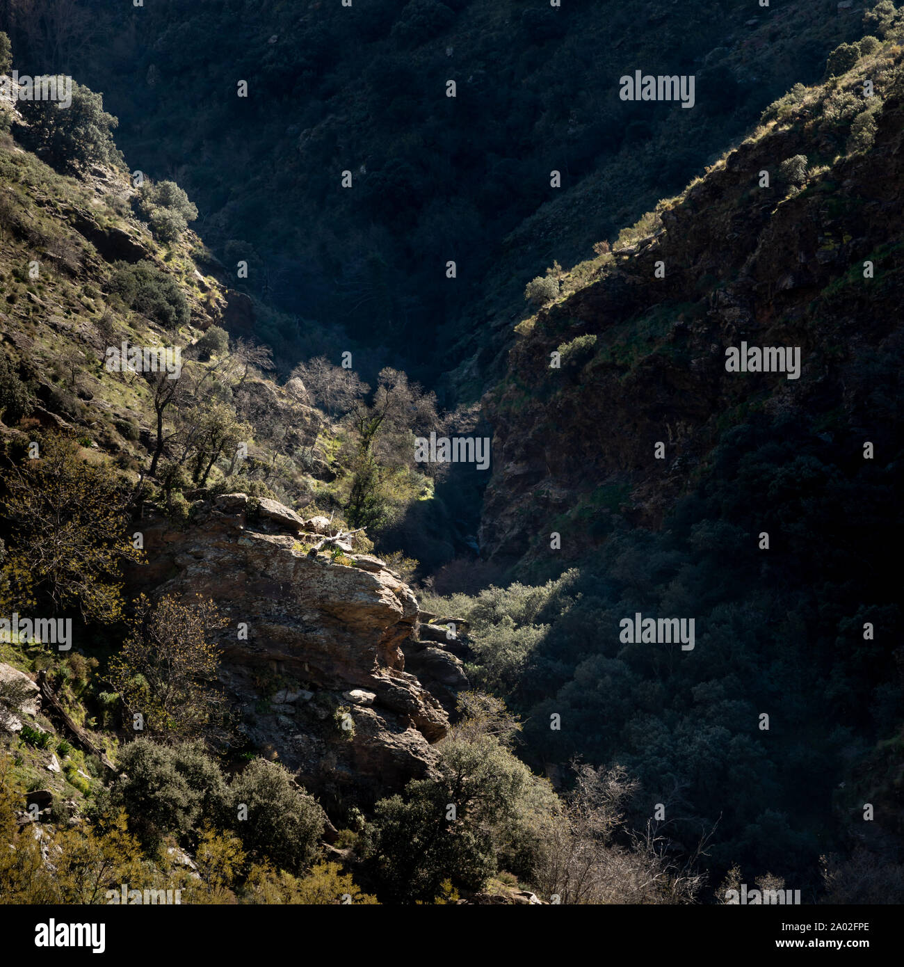 Steep Valley near Ferreirola, La Taha Stock Photo - Alamy