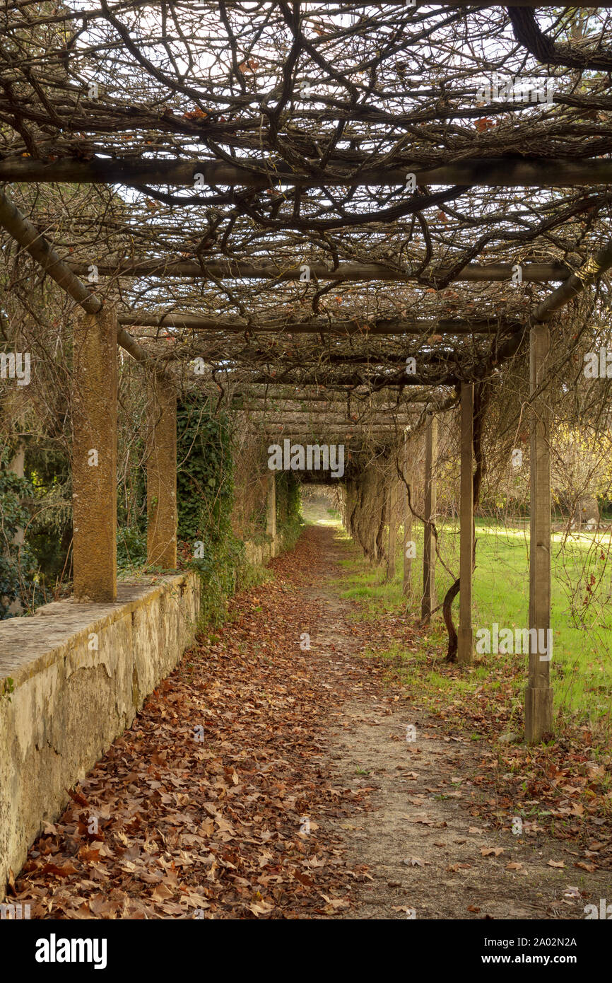 Wooden arch hi-res stock photography and images - Alamy