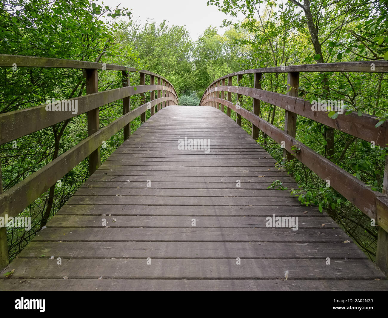 Wooden bridge in the forest hi-res stock photography and images - Alamy