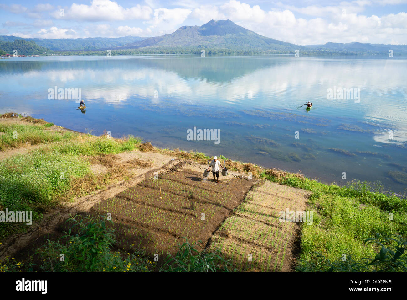 Small organic vegetable farm by the lake Stock Photo - Alamy