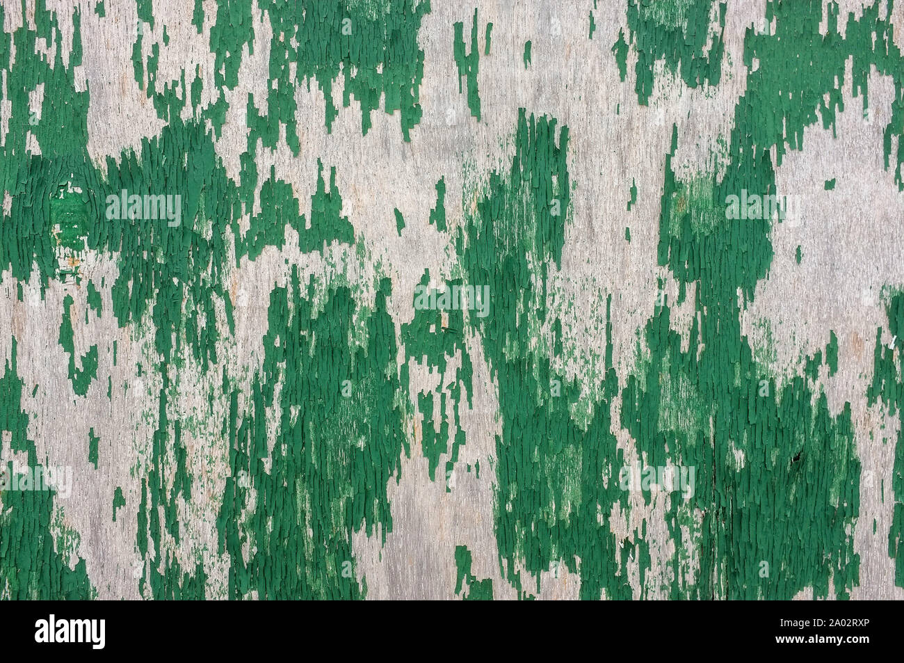 Peeling green paint on a board wall Stock Photo - Alamy