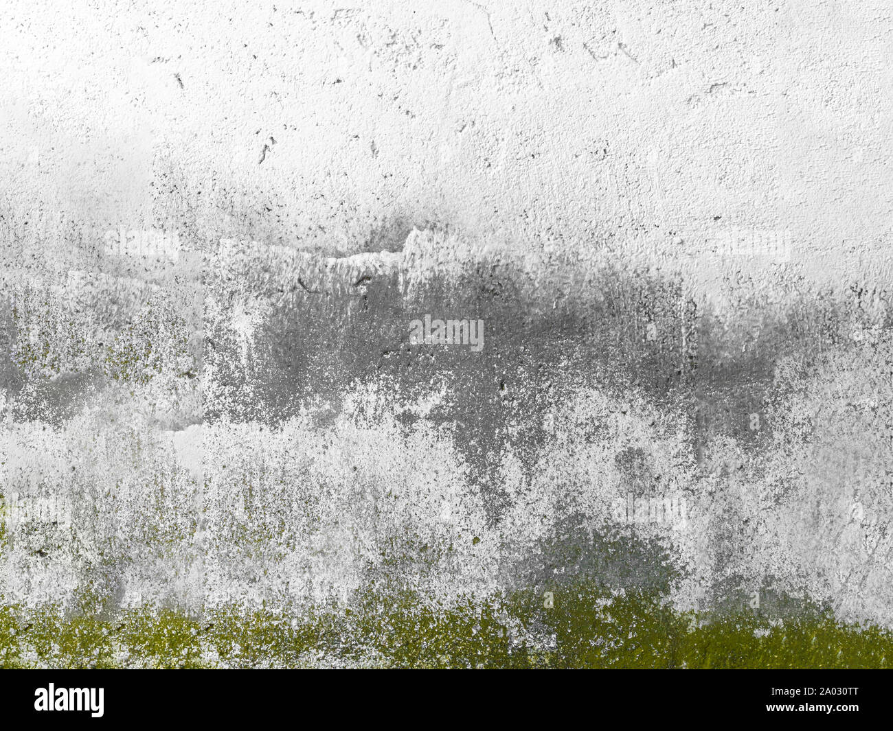 Dirty fungus or mold on the wall texture background Stock Photo - Alamy