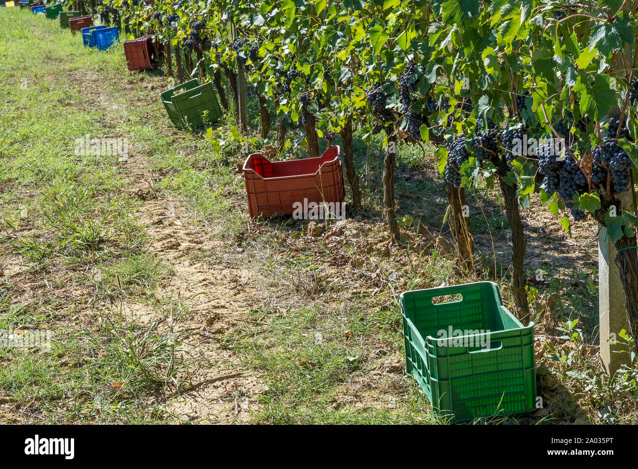 Plastic fruit crates hi-res stock photography and images - Alamy