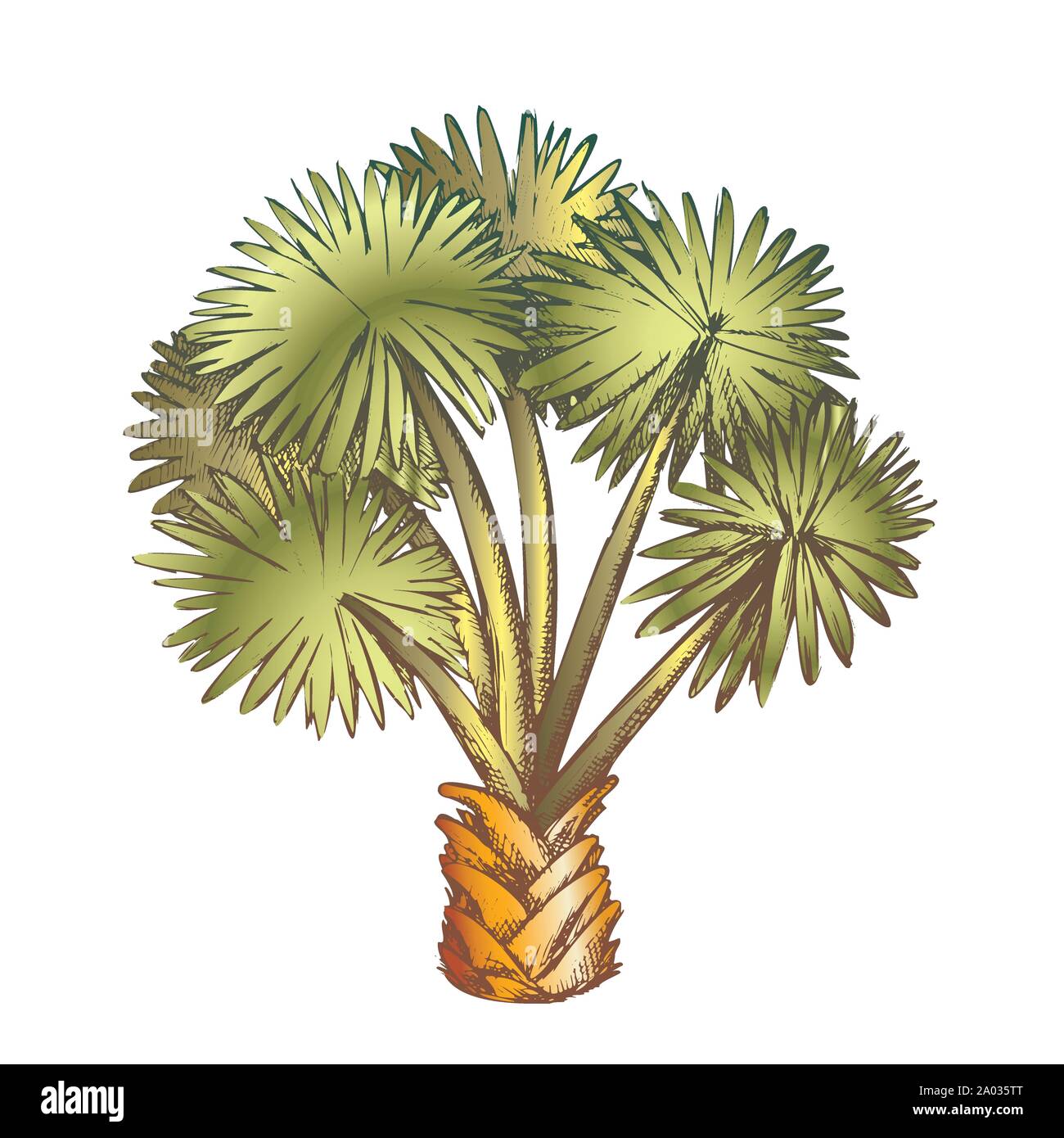 Texas climate Stock Vector Images - Alamy