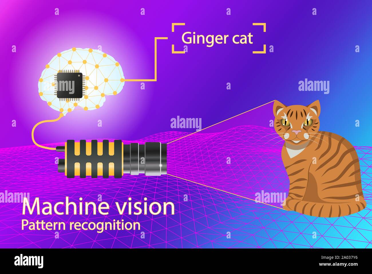 Vector Infographic Computer Vision And Pattern Recognition Stock