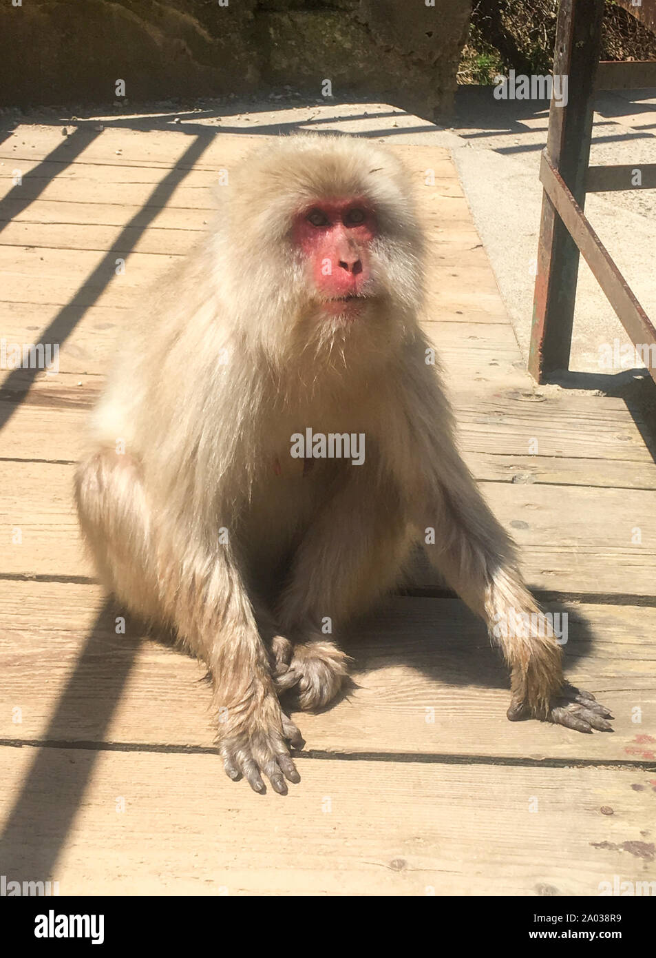Hot spring of shibu hi-res stock photography and images - Alamy