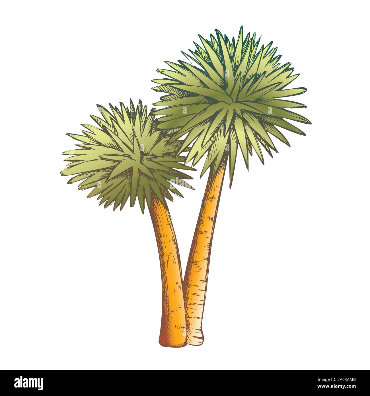 Palm trees tattoo Cut Out Stock Images & Pictures - Alamy