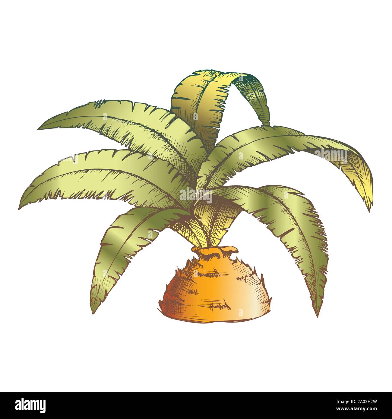 Bottle palm leaf Stock Vector Images - Alamy