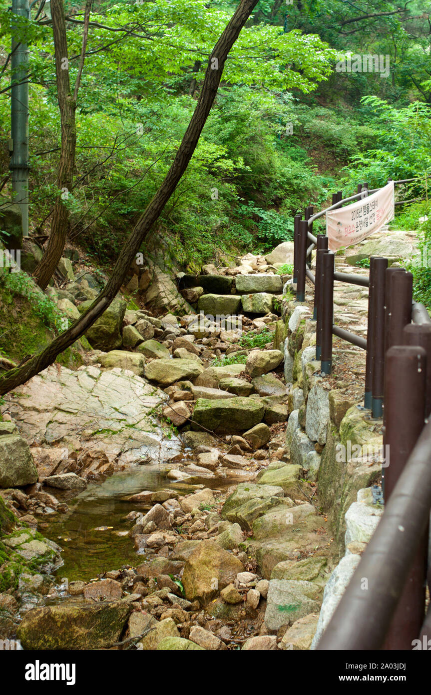 Path and river in the woods in South Korea Stock Photo - Alamy