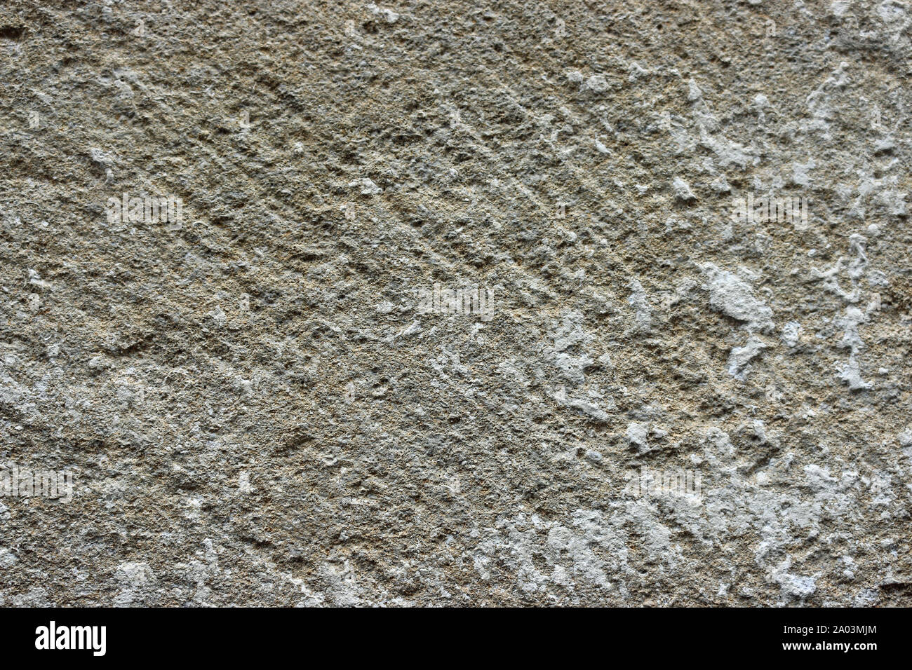 Close up of a light coloured limestone stone block with fossils from an ...