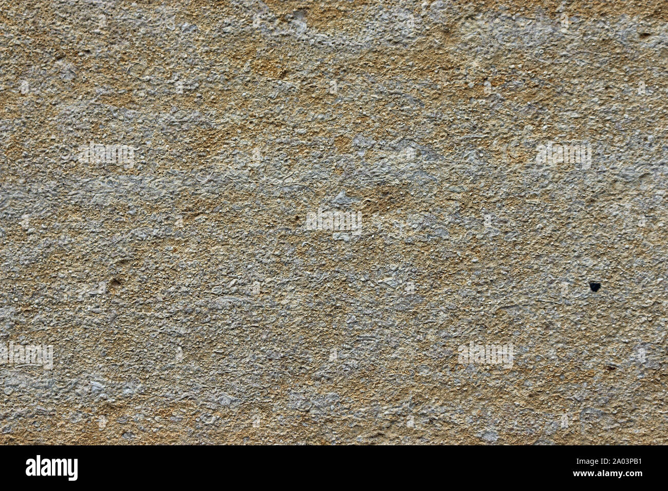 Close up of a light coloured limestone stone block with fossils from an ...