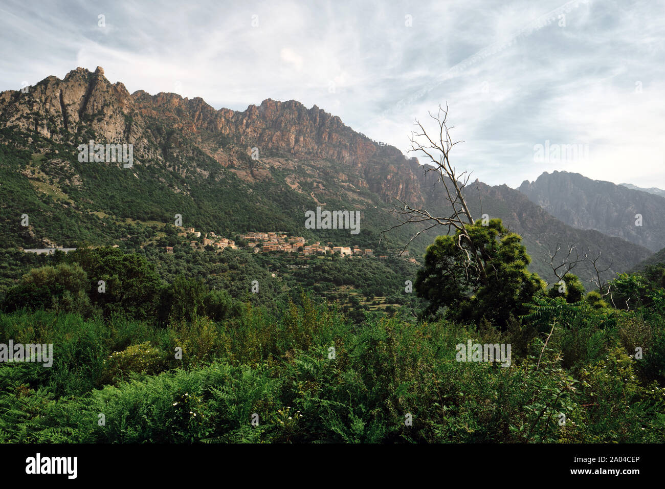 Corsica orta hi-res stock photography and images - Alamy