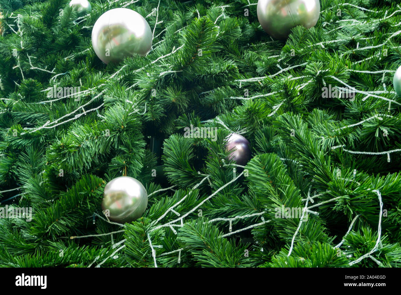 Spiky ball tree hi-res stock photography and images - Alamy