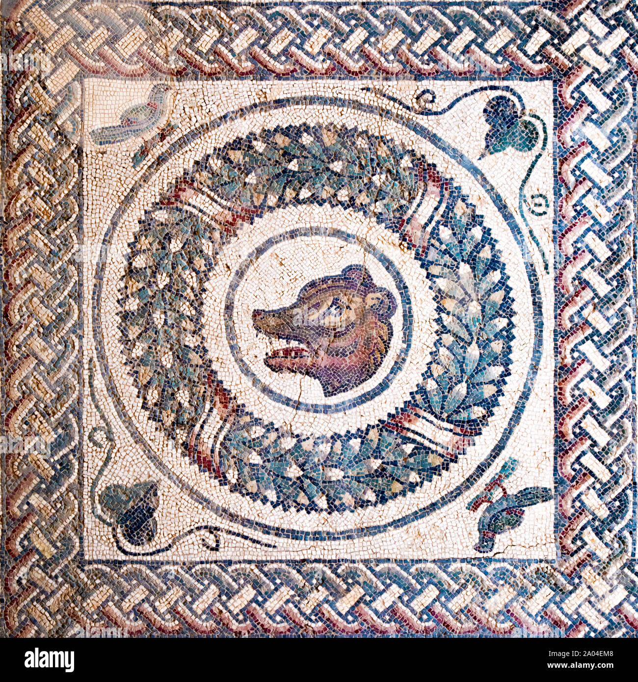 Bear head in ancient roman mosaic, Sicily Stock Photo - Alamy