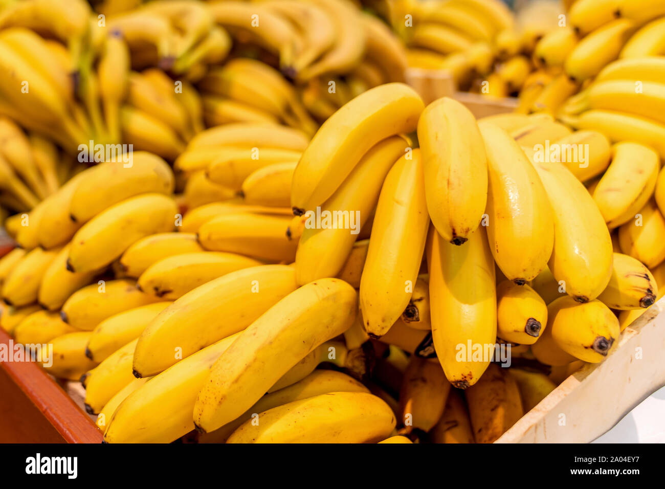 Macro Photo food tropical fruit bananas. Texture background yellow ...
