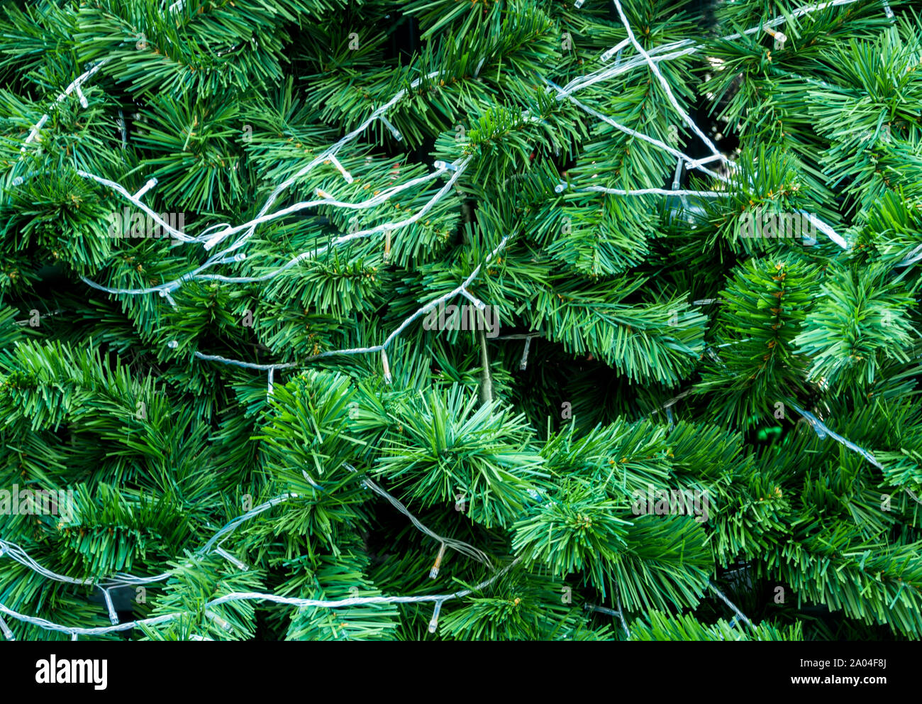 Spiky ball tree hi-res stock photography and images - Alamy