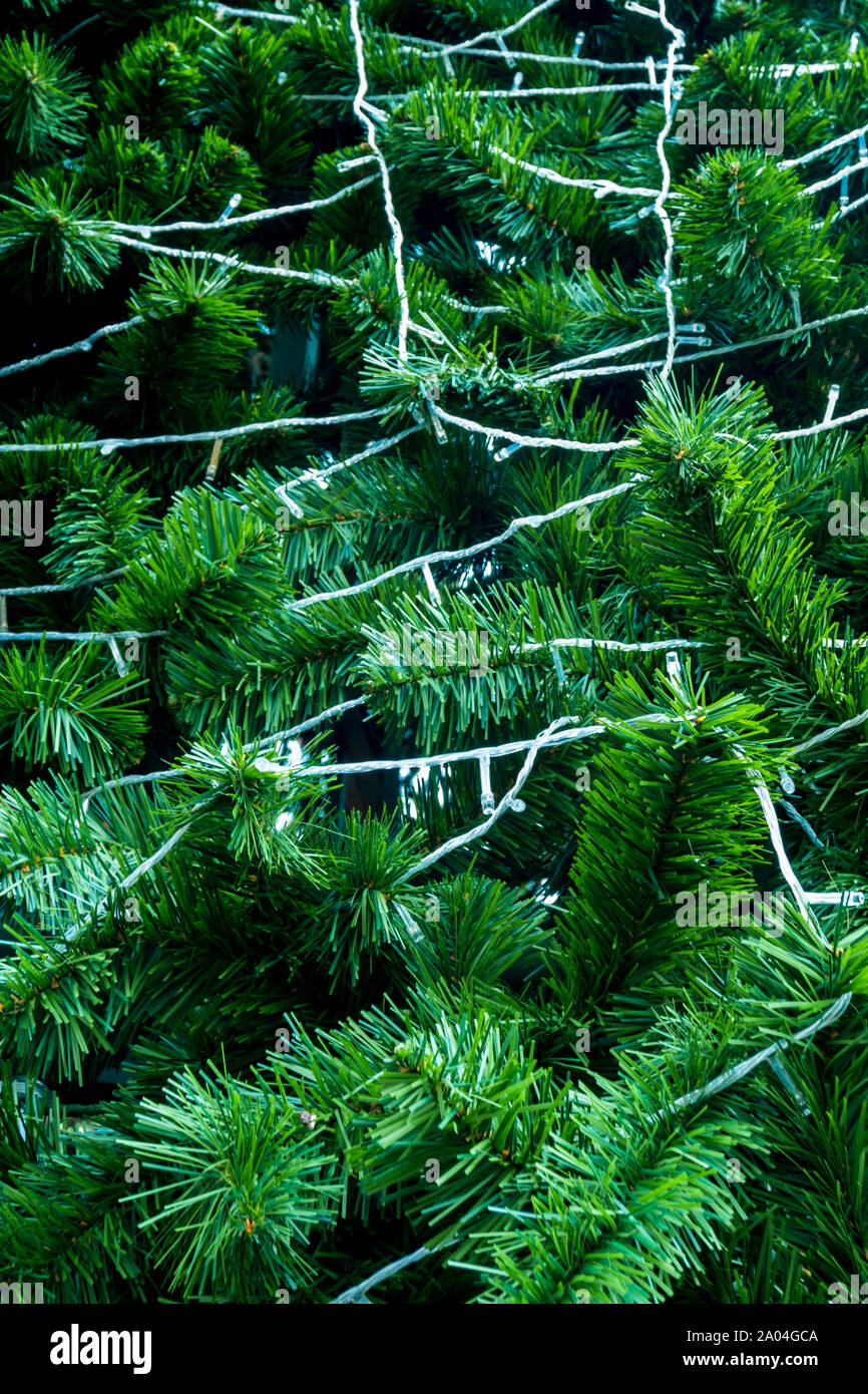 Spiky ball tree hi-res stock photography and images - Alamy