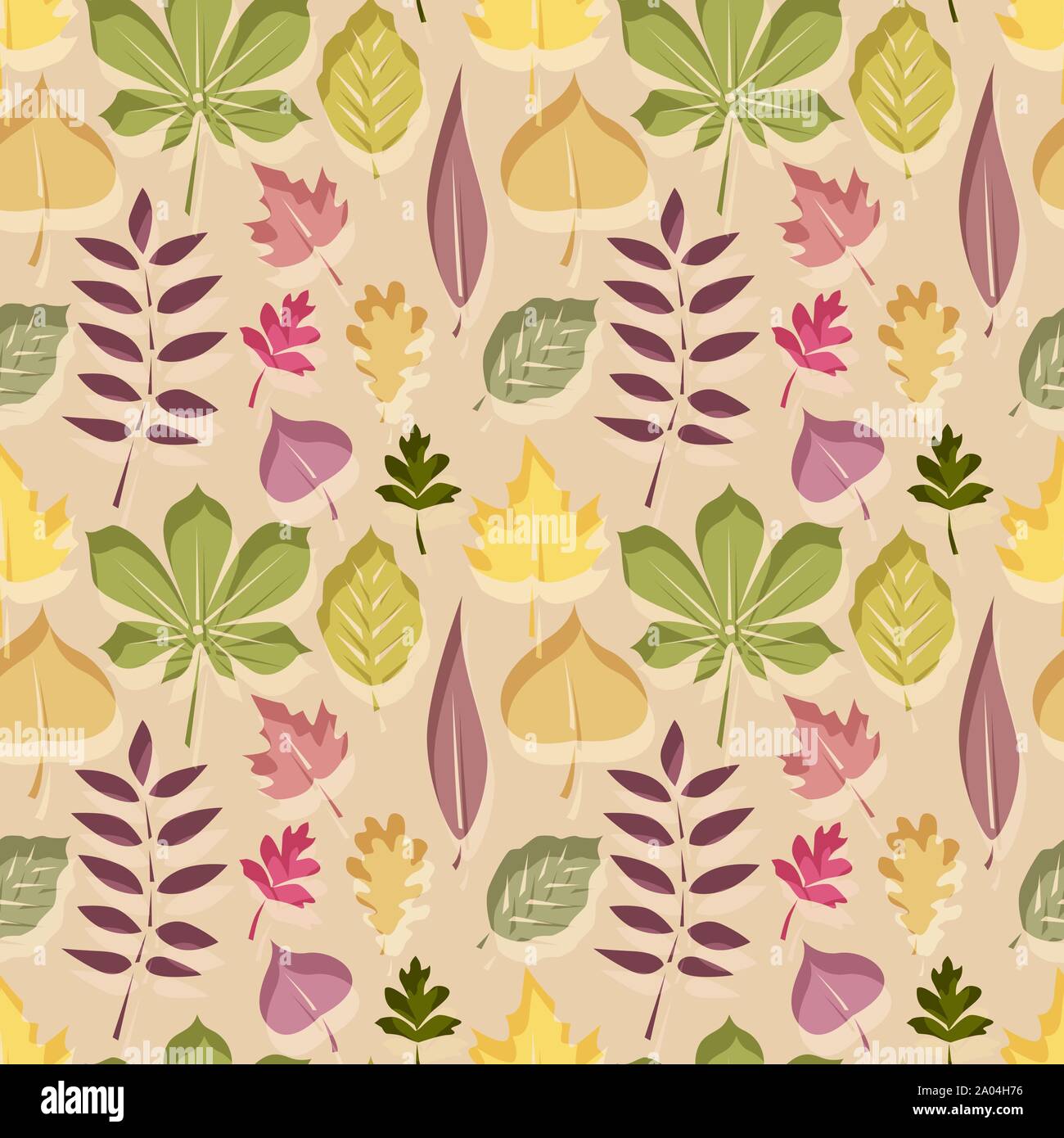 Fall beech leaves Stock Vector Images - Alamy