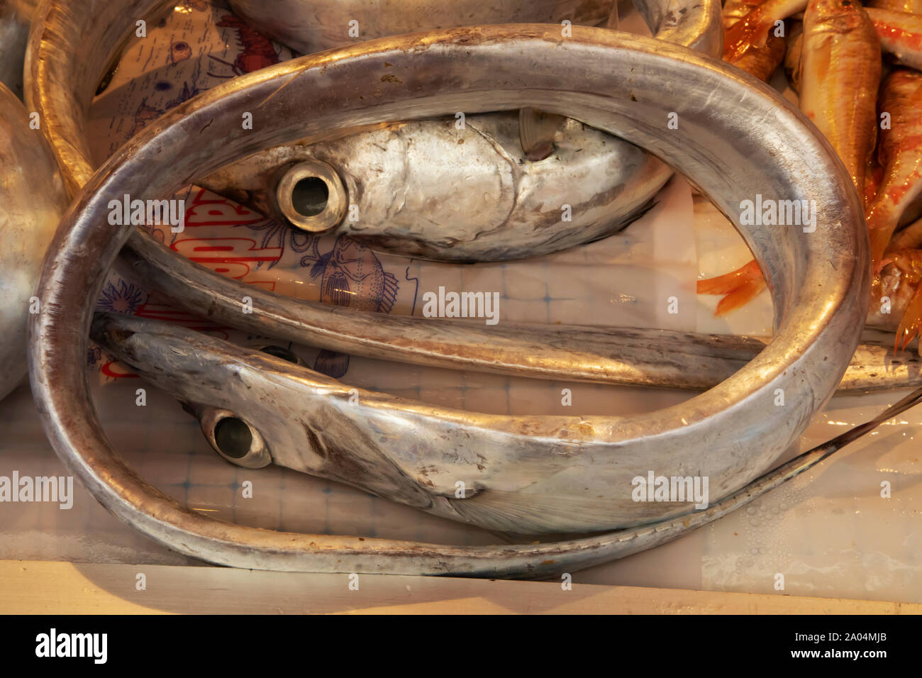 Odd long fish on sale in outdoor sicilian market Stock Photo - Alamy