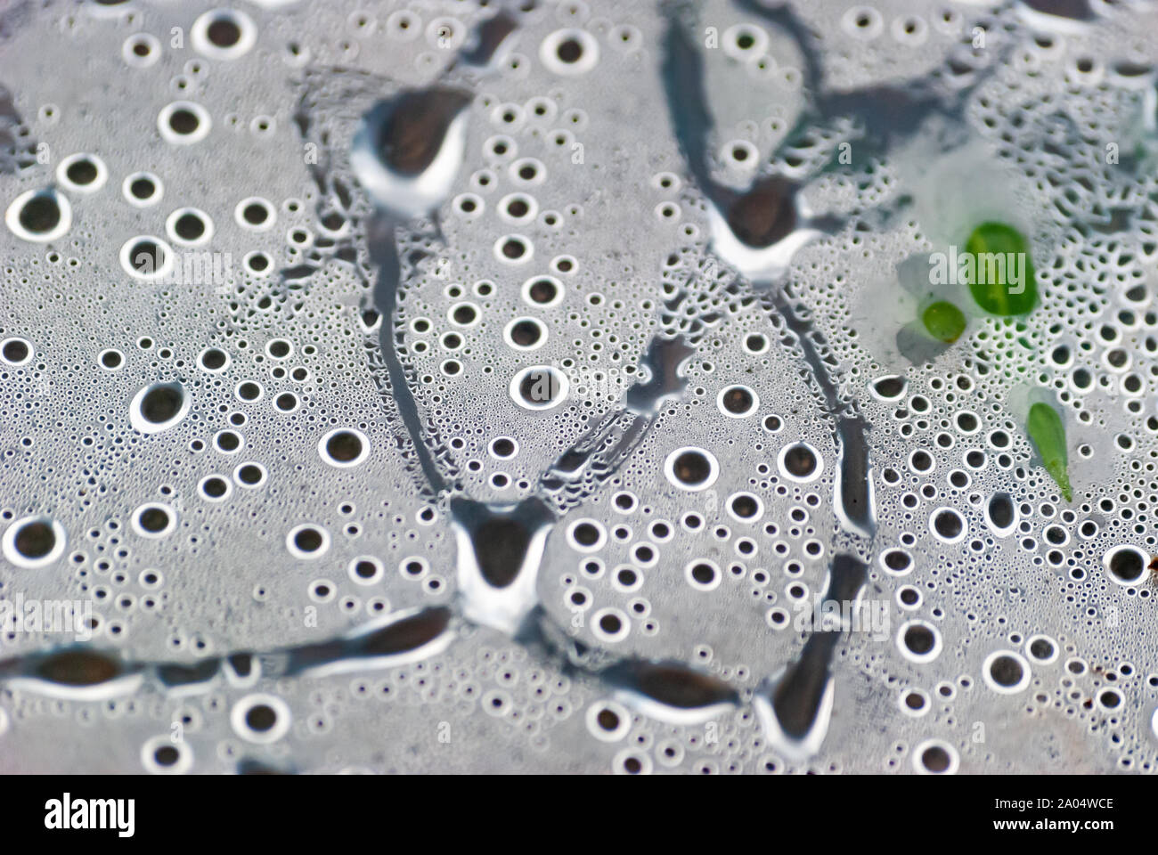 Evaporation of sweat hi-res stock photography and images - Alamy