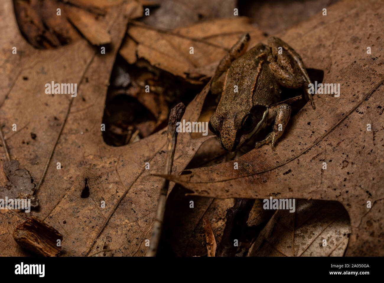 Sheboygan county wisconsin hi-res stock photography and images - Alamy