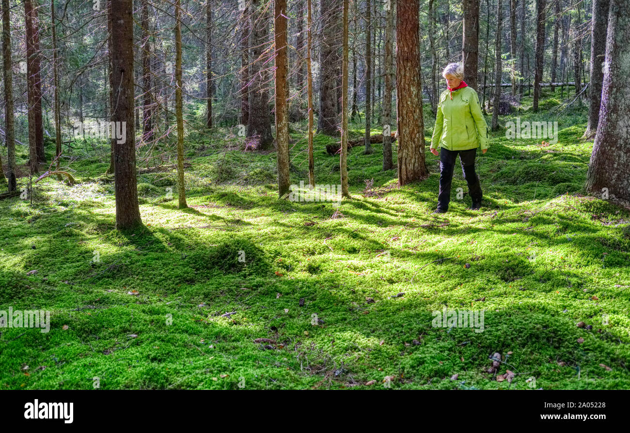 Woman walking alone hi-res stock photography and images - Alamy