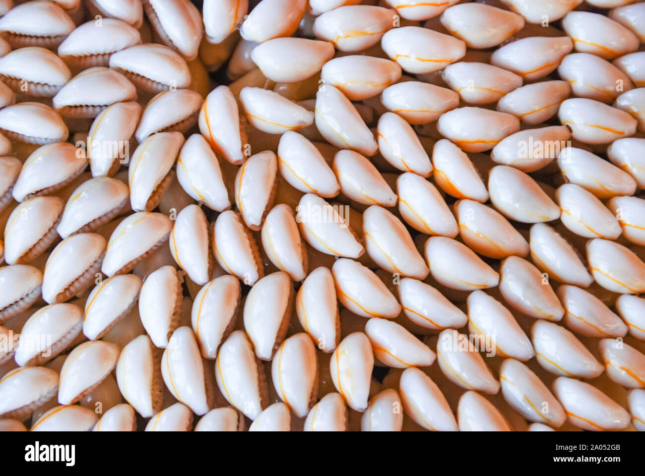 Cowrie shell money hi-res stock photography and images - Alamy